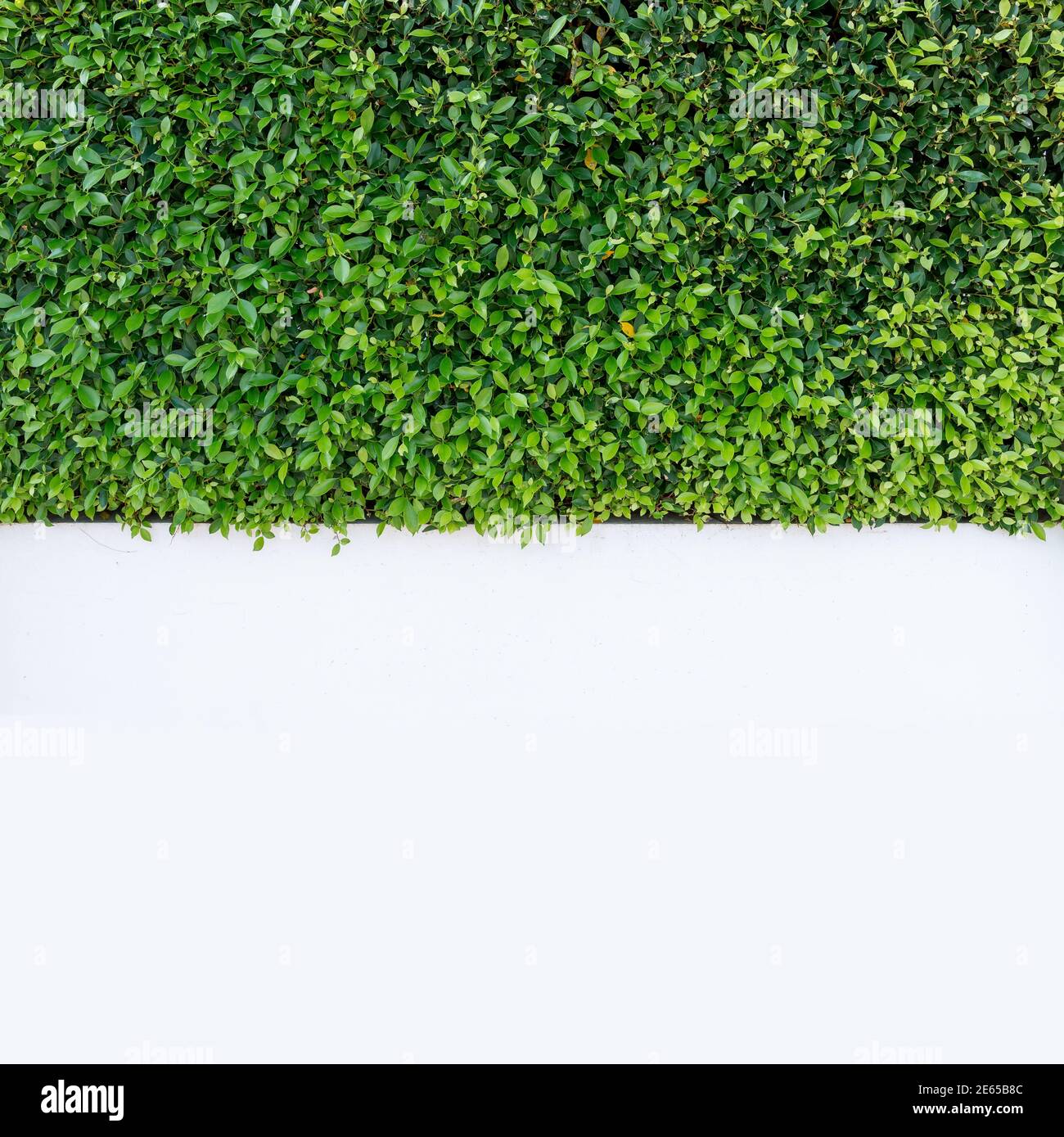 White building with green trim hi-res stock photography and images - Alamy