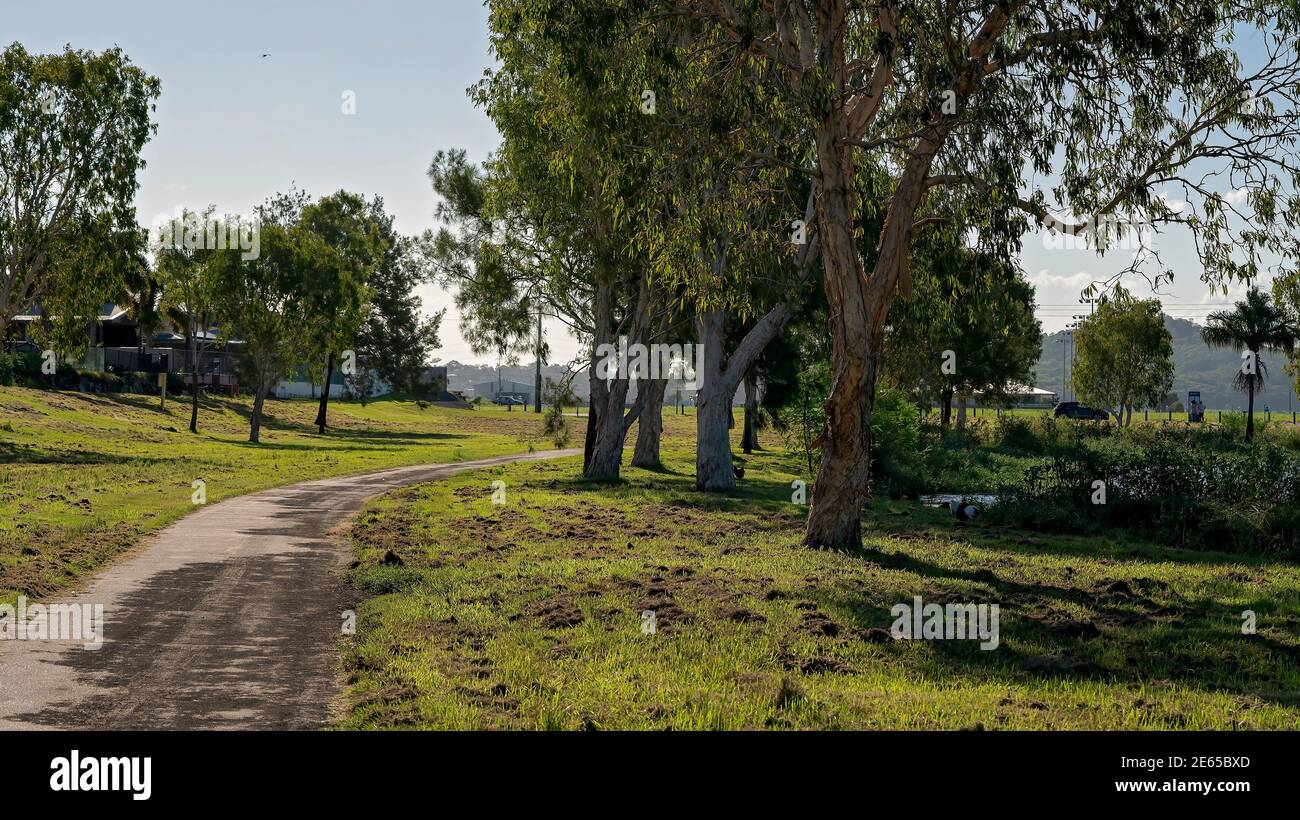 Shady creek track hi-res stock photography and images - Alamy