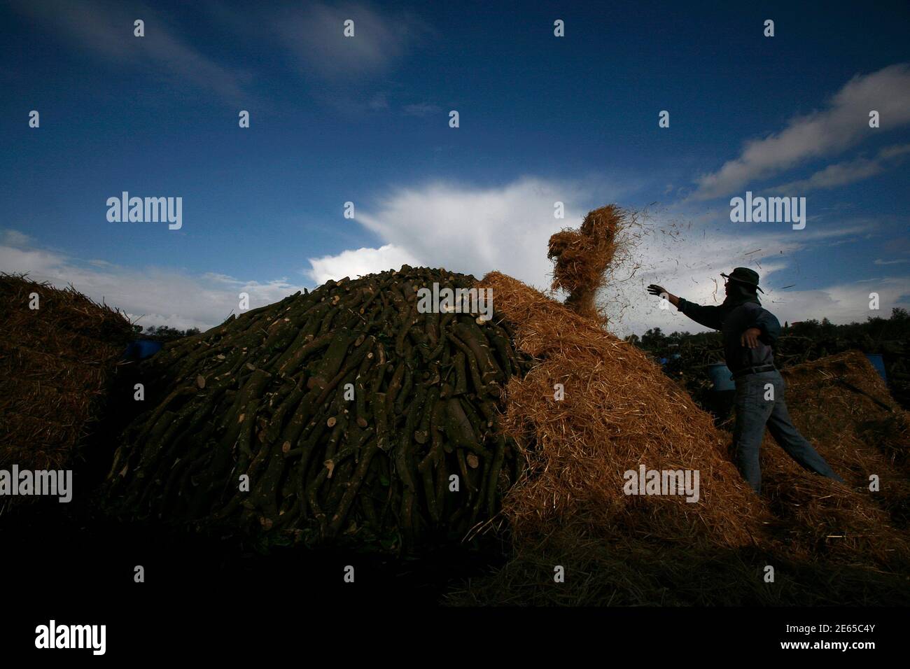 The process of making hay hi-res stock photography and images - Alamy