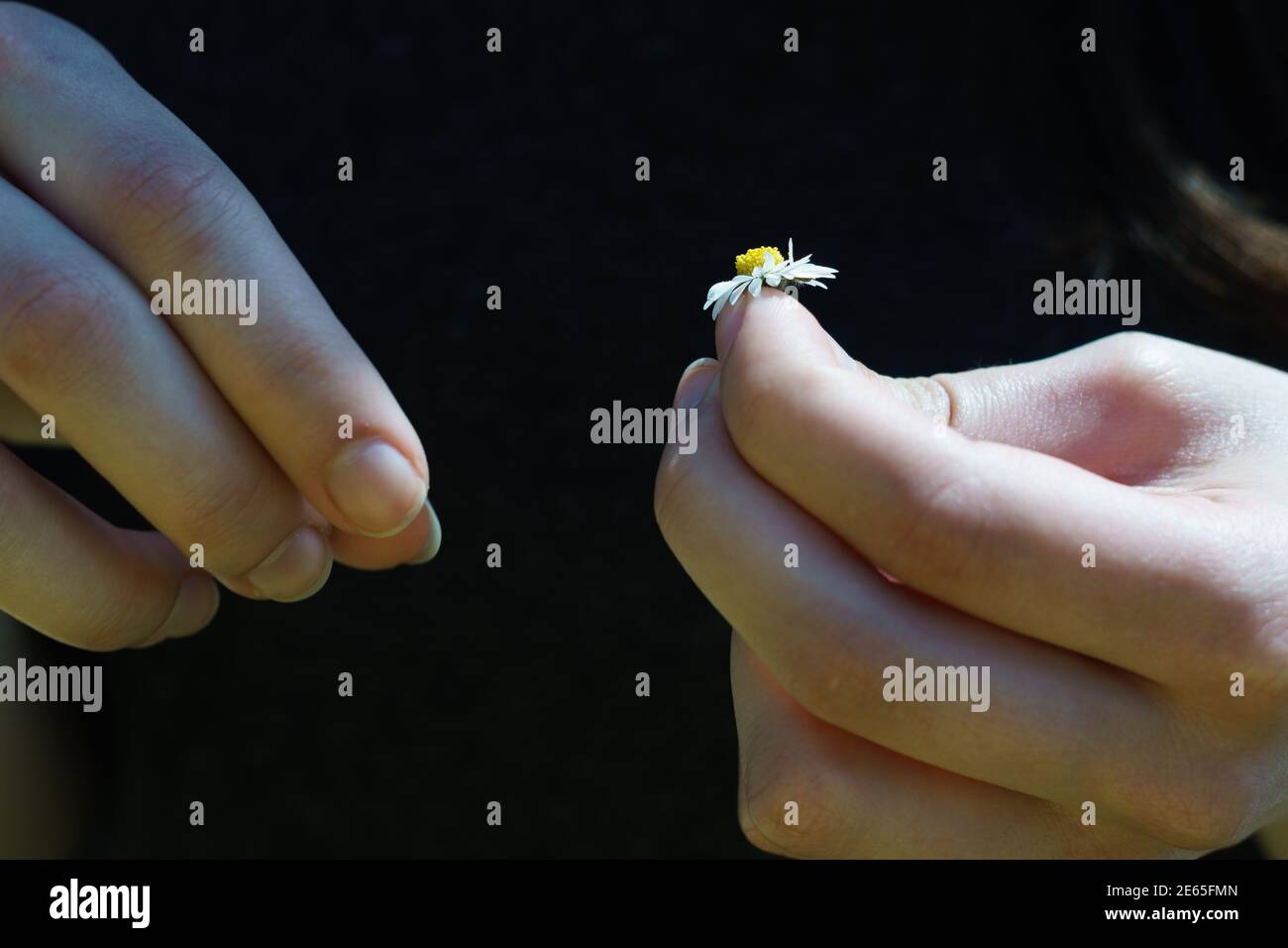 Plucking leaves hi-res stock photography and images - Alamy