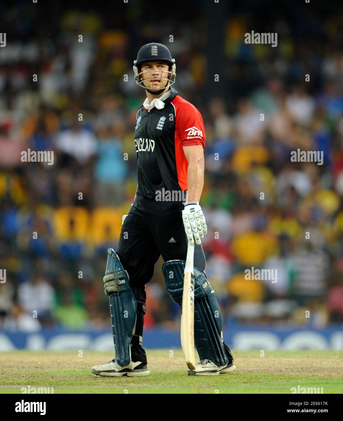 2011 jonathan brown hi-res stock photography and images - Alamy