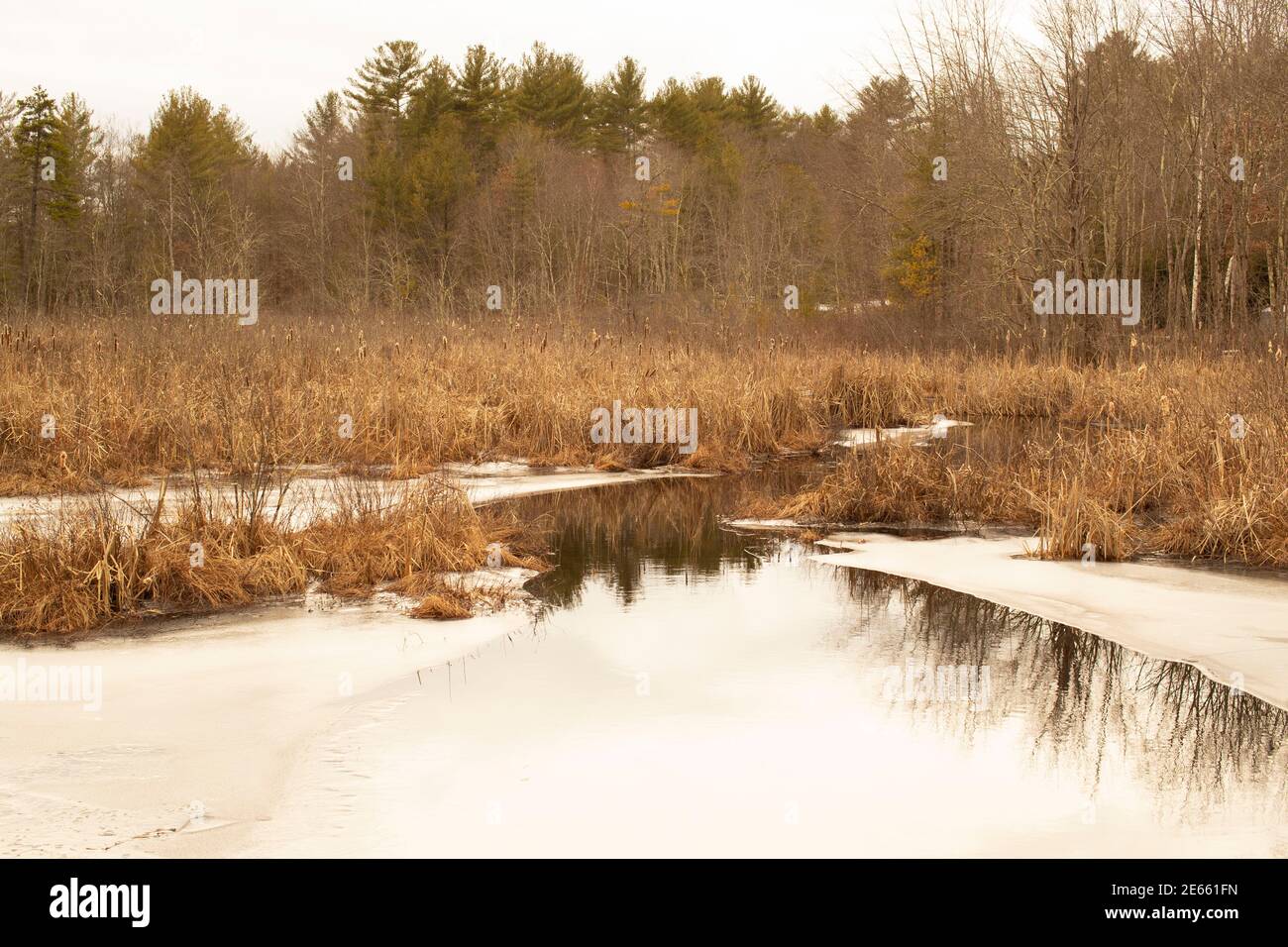 Pennichuck pond hi-res stock photography and images - Alamy