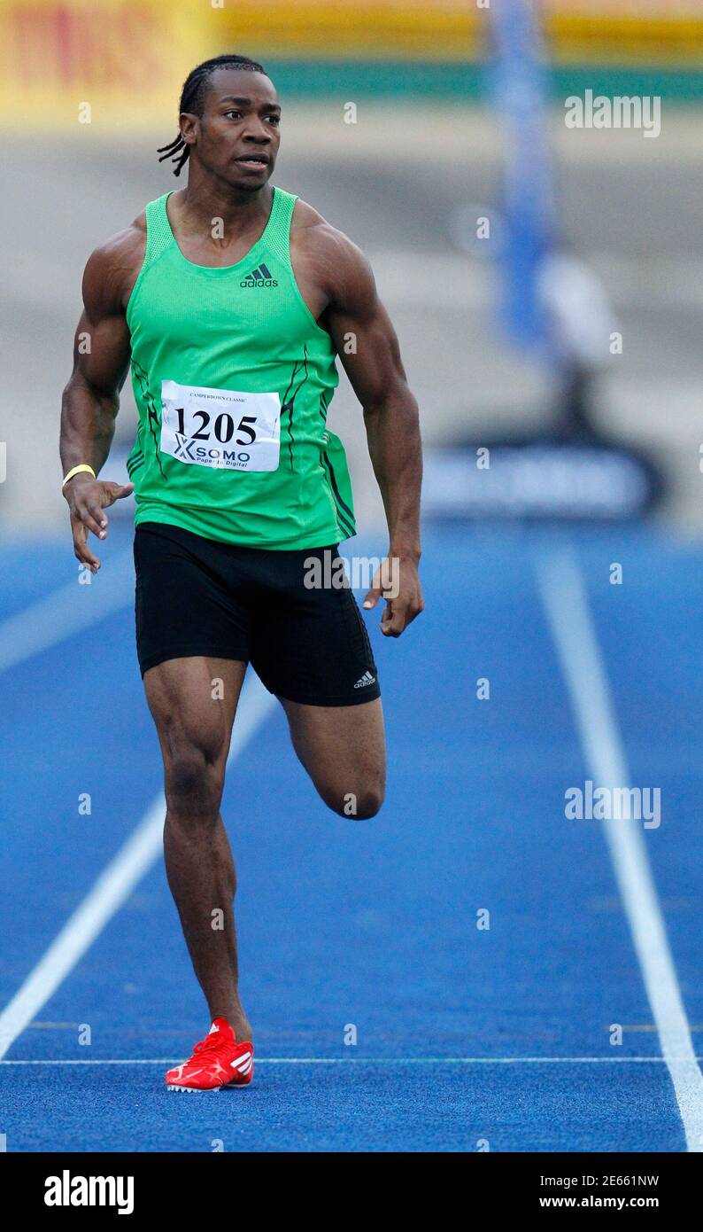 Blake silva hi-res stock photography and images - Alamy