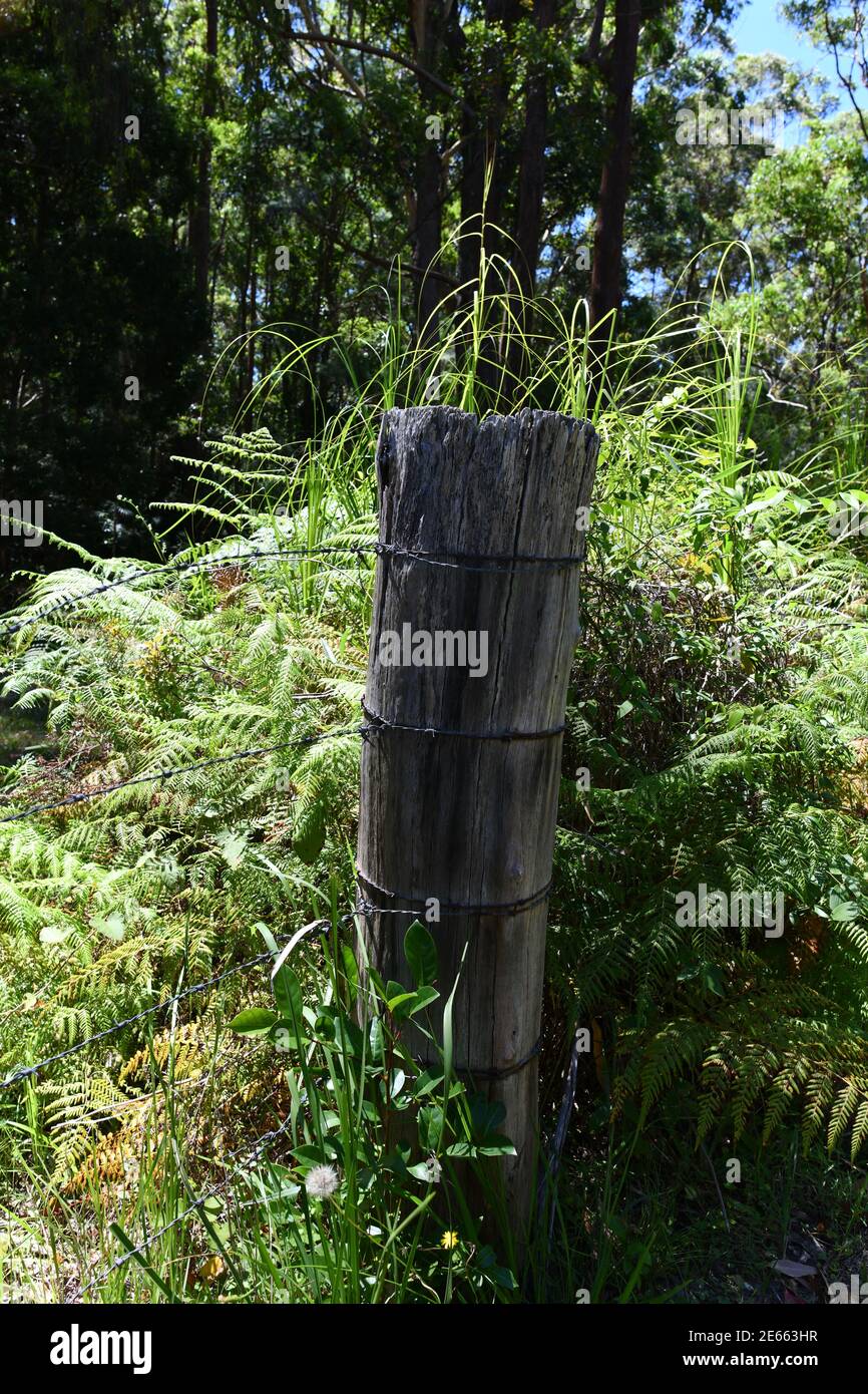 Light blue fence hi-res stock photography and images - Alamy
