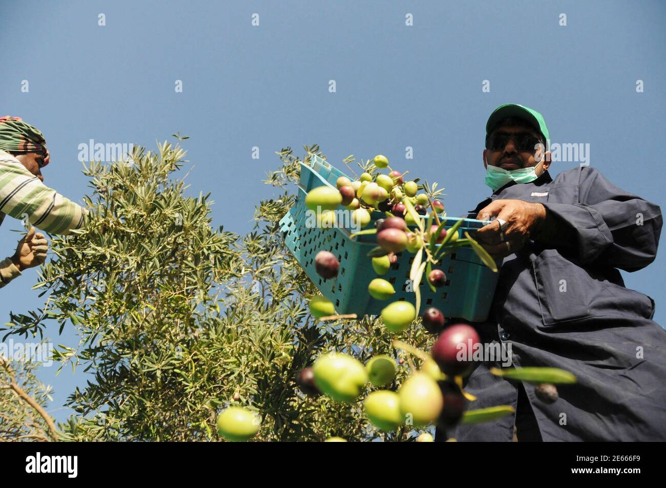 Saudi arabia food worker hi-res stock photography and images - Alamy