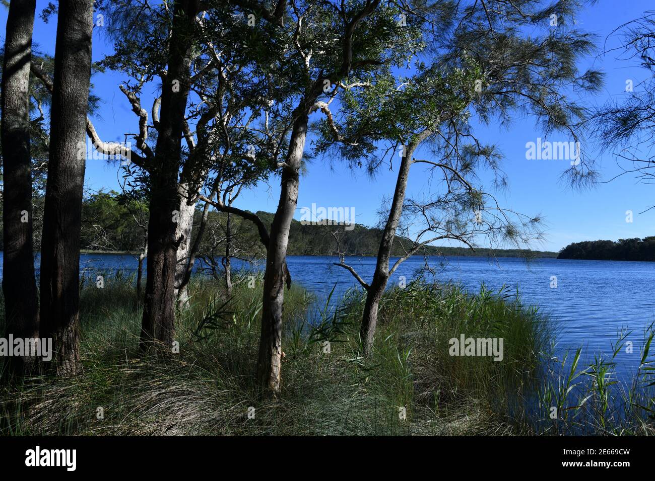 Myall lakes new south wales hi-res stock photography and images - Alamy