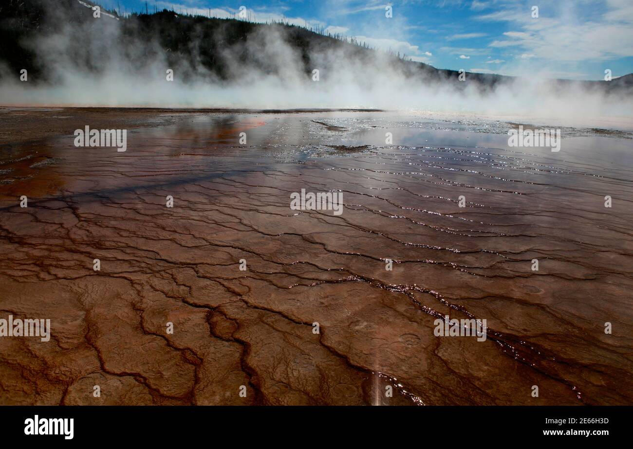 Microbial mats hi-res stock photography and images - Alamy