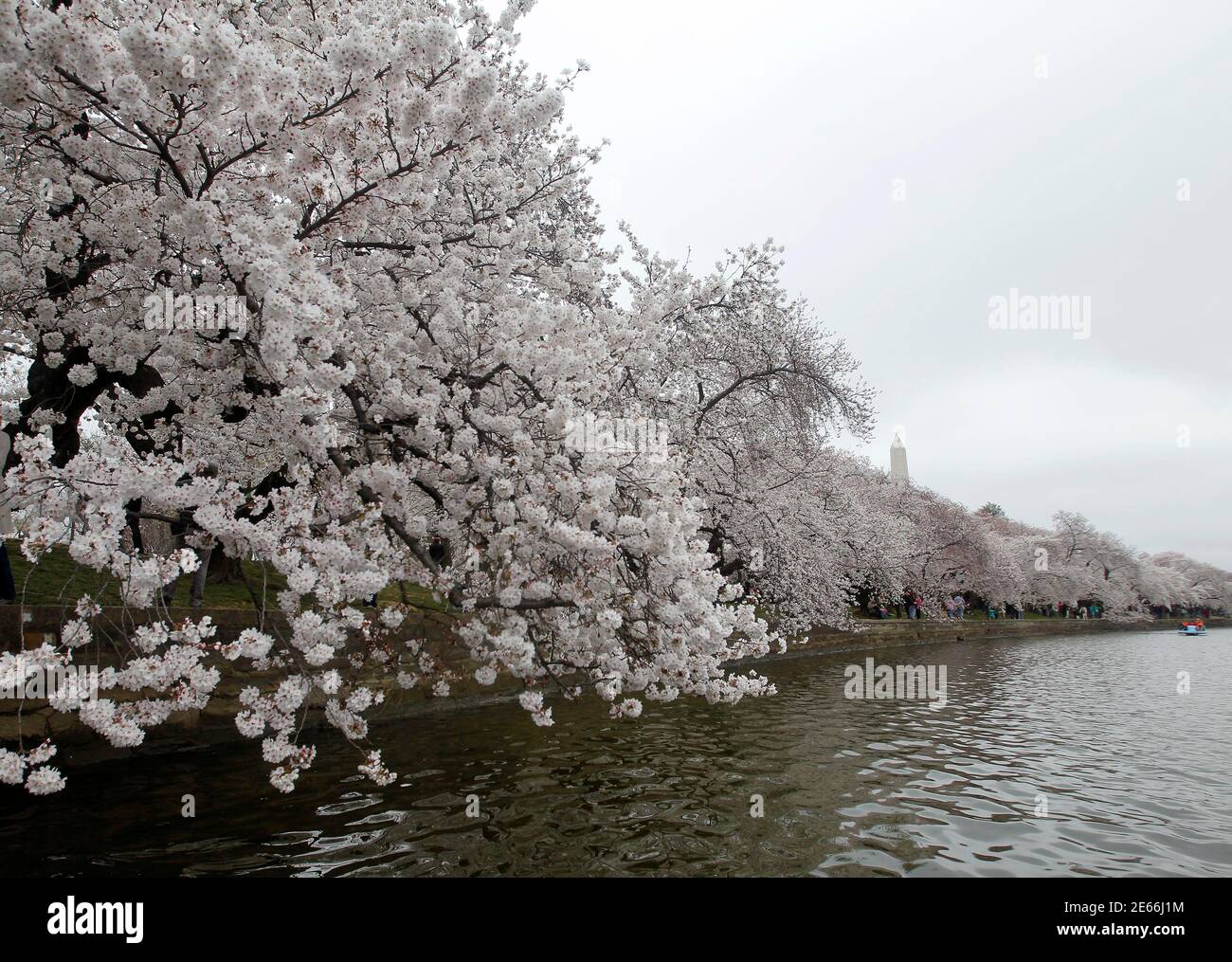 Taft helen herron hi-res stock photography and images - Alamy