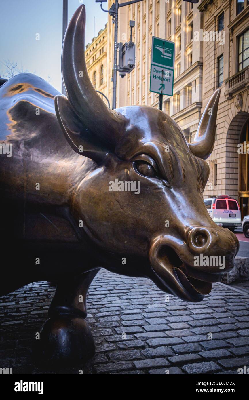 Wall Street Bull statue in New York's Financial District . (Photo by ...