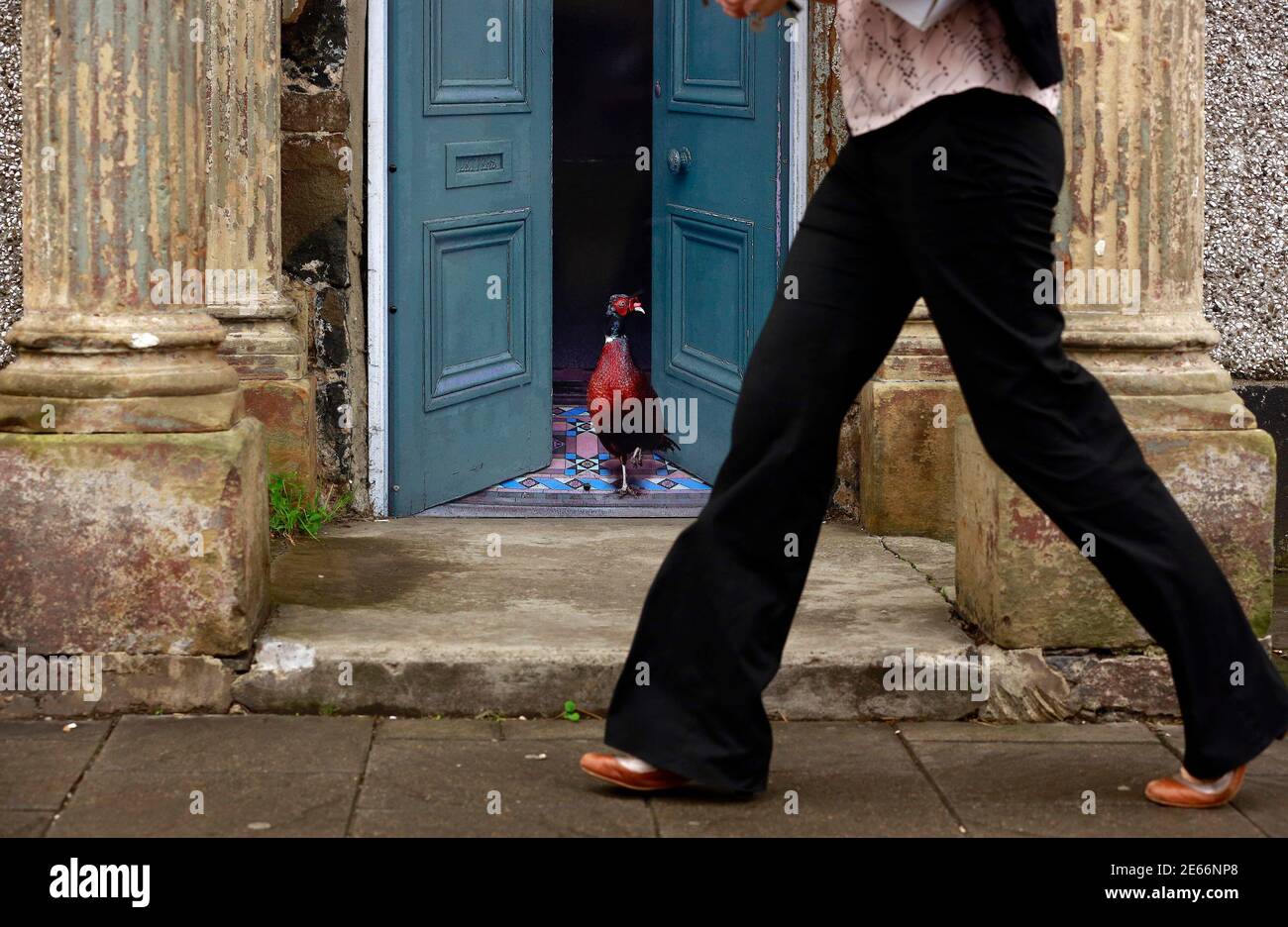 Fake shop fronts hi-res stock photography and images - Alamy