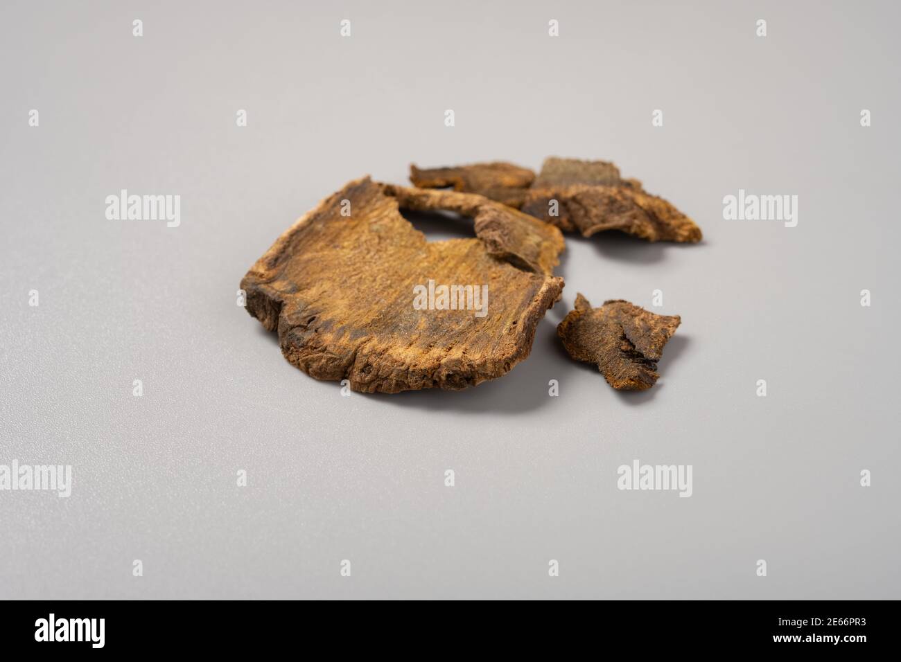 Rhei radix et rhizoma hi-res stock photography and images - Alamy