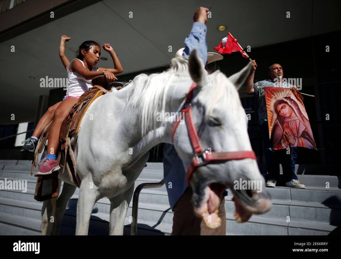 Immigration usa animal hi-res stock photography and images - Alamy