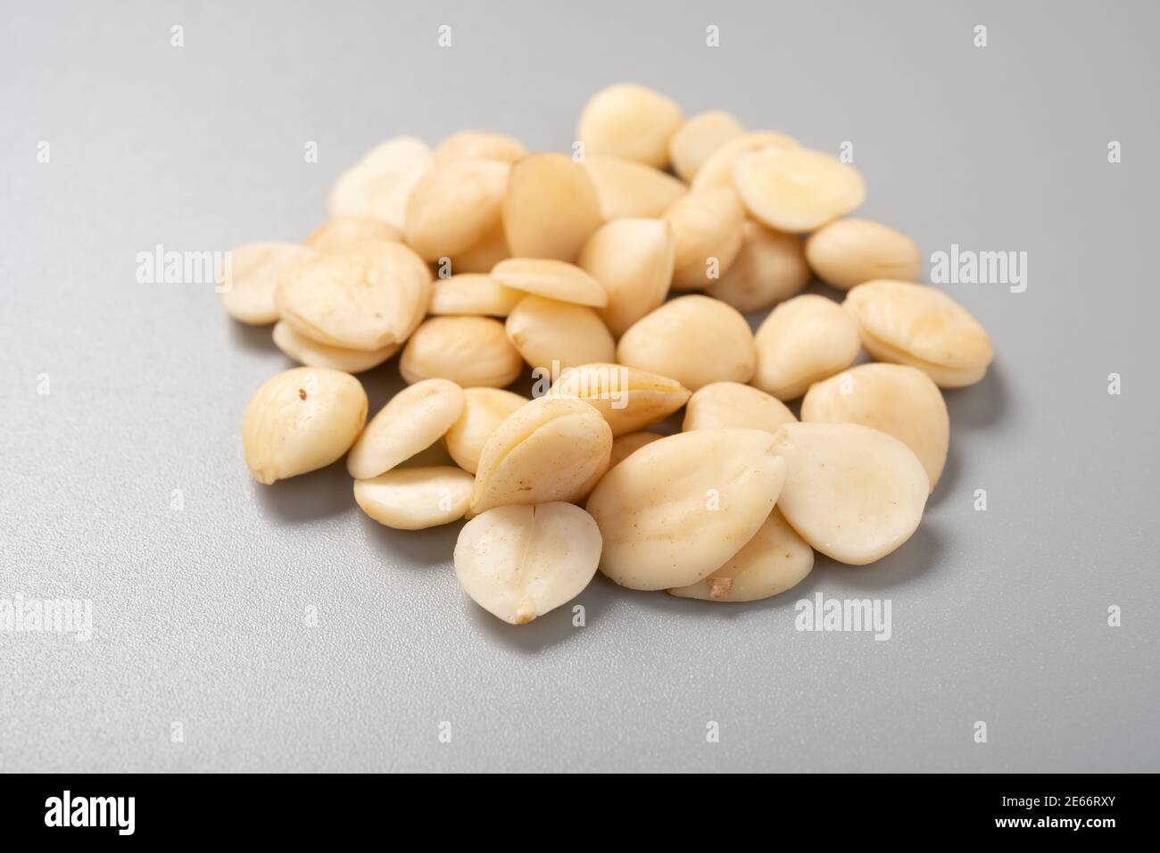 side view herb KuXingRen or Semen Armeniacae Amarum Stock Photo - Alamy