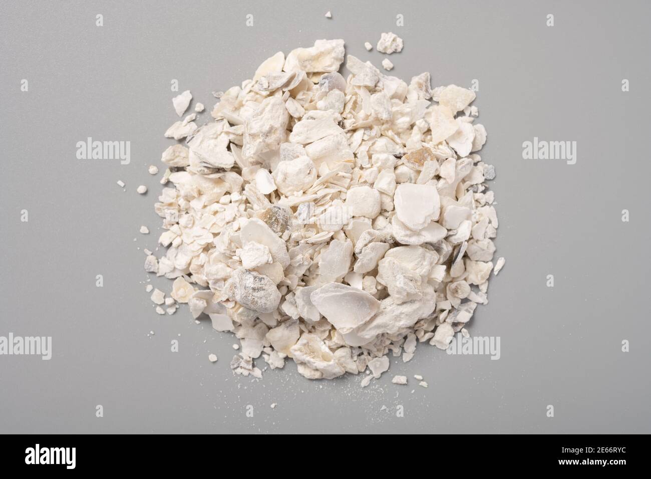 Common oyster shell hi-res stock photography and images - Alamy
