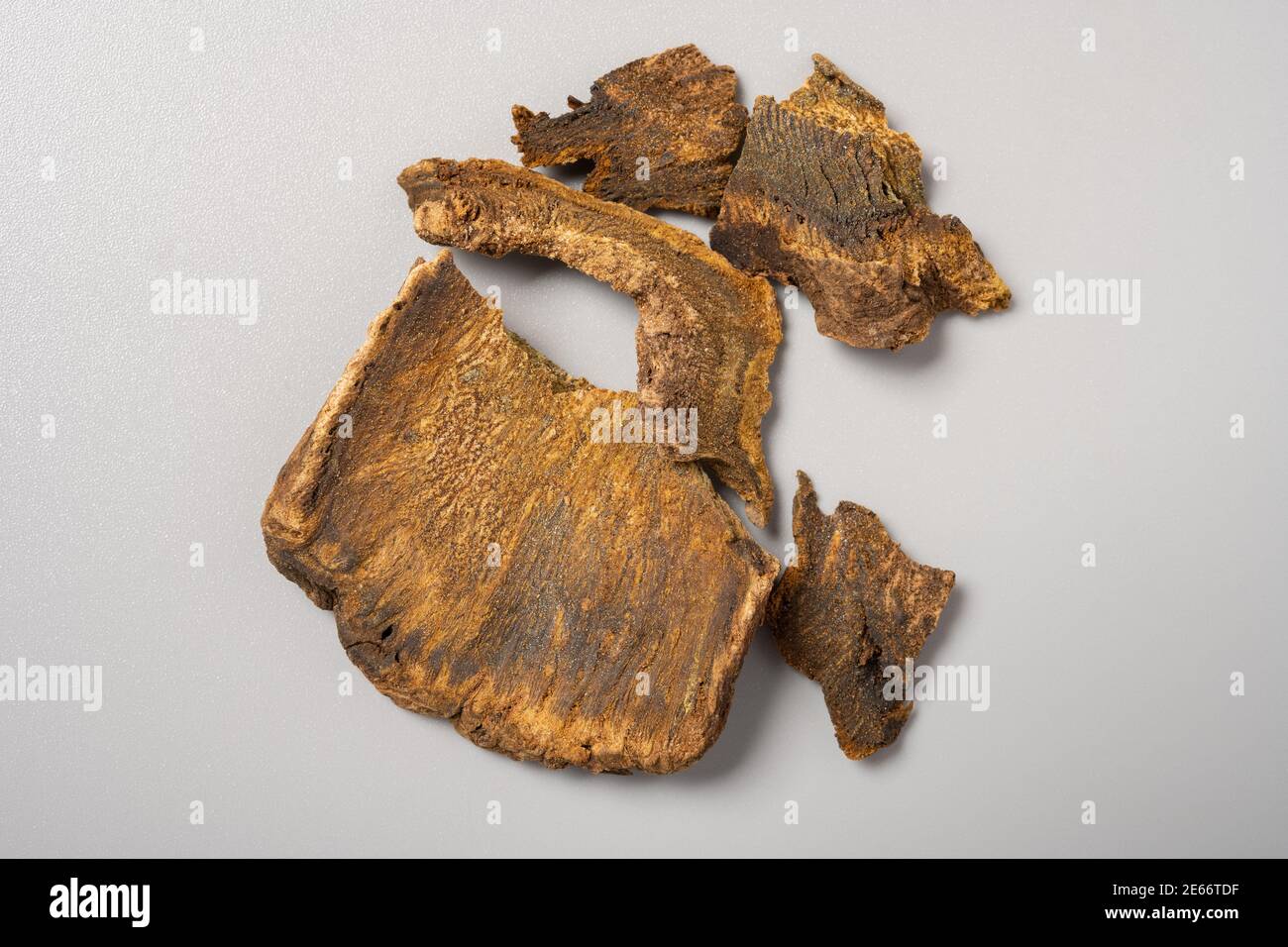 Rhei radix et rhizoma hi-res stock photography and images - Alamy