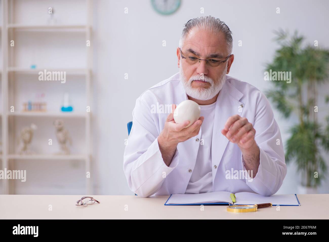Old anatomy teacher demonstrating human skeleton Stock Photo - Alamy