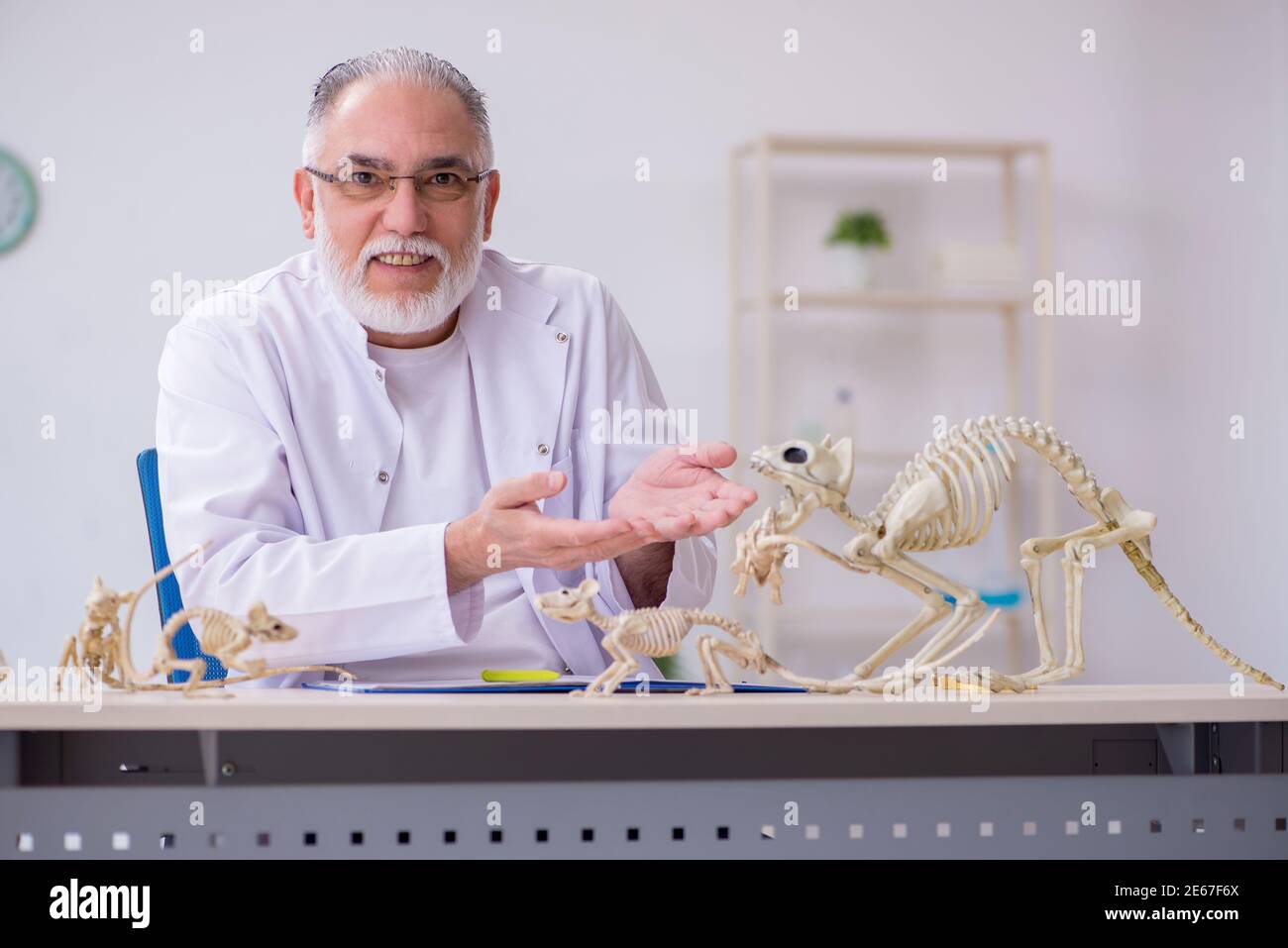 Old paleontologist examining ancient animals at lab Stock Photo - Alamy
