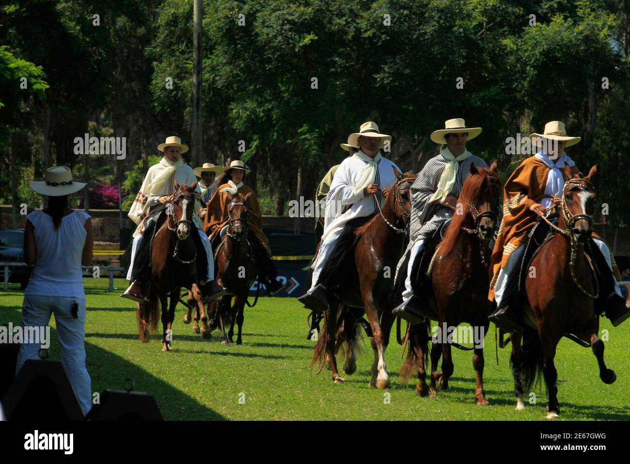 Spanish dancing horse hi-res stock photography and images - Alamy