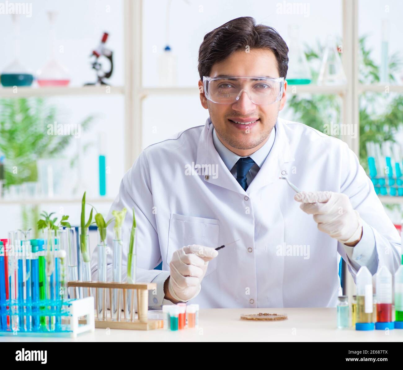 The male biochemist working in the lab on plants Stock Photo - Alamy