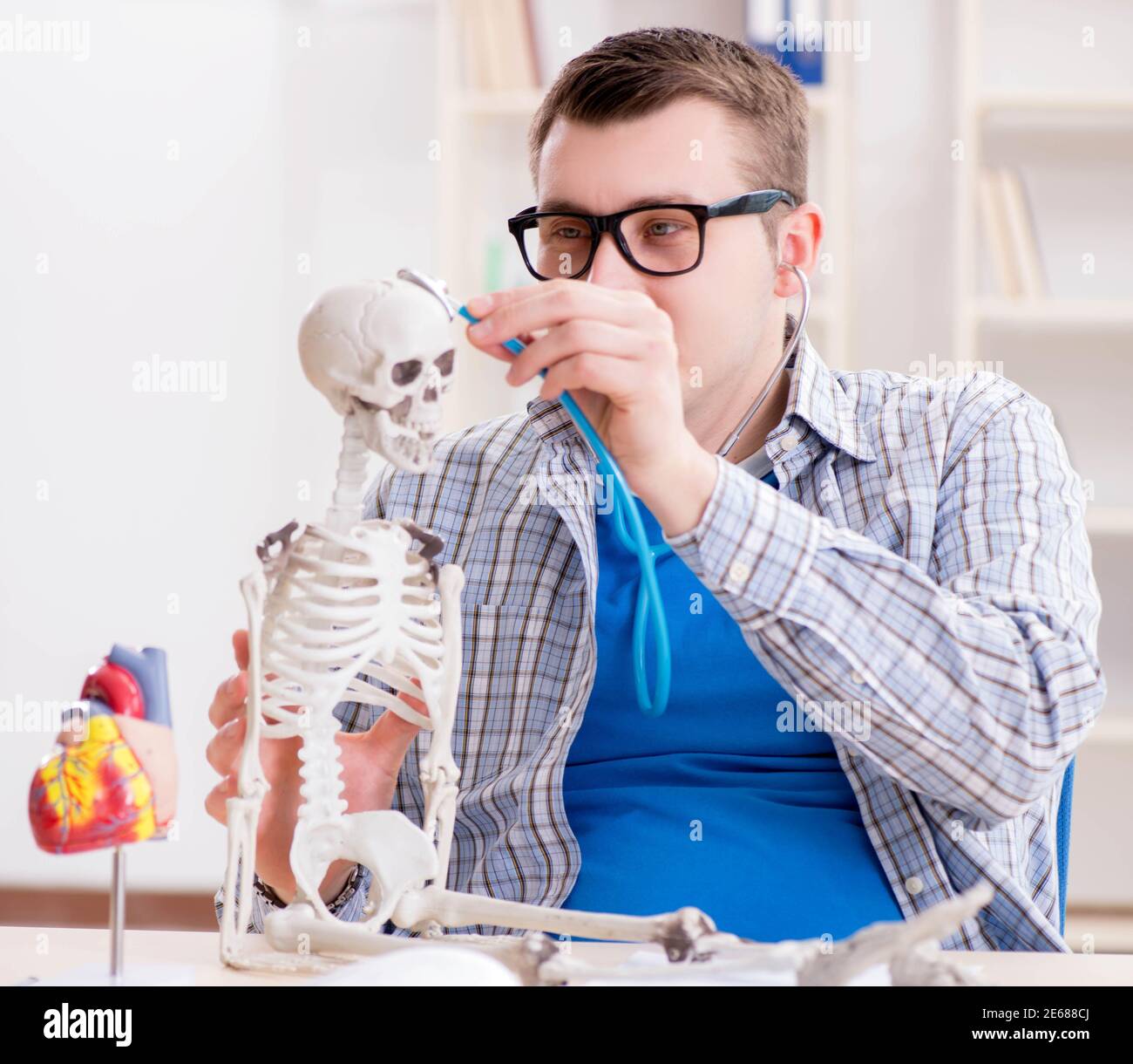 The medical student studying skeleton in classroom during lecture Stock ...