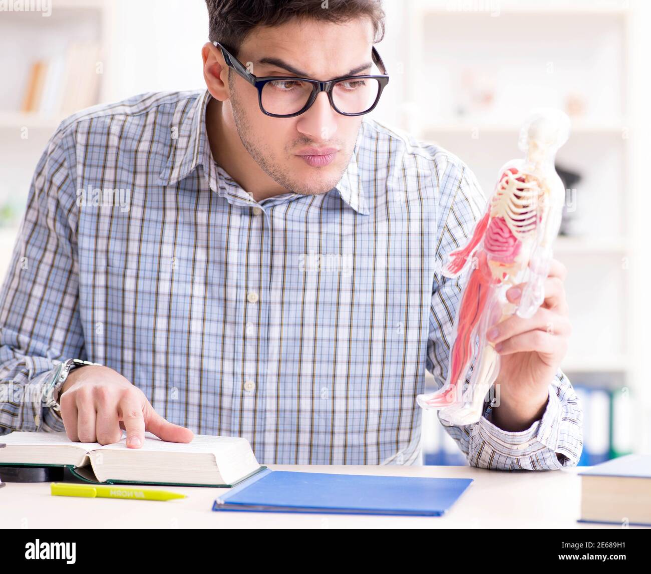 The medical student studing the skeleton Stock Photo - Alamy
