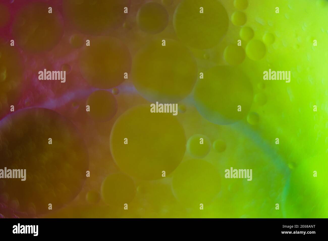 Blurred soft focus of oil spheres in water with color transition from ...