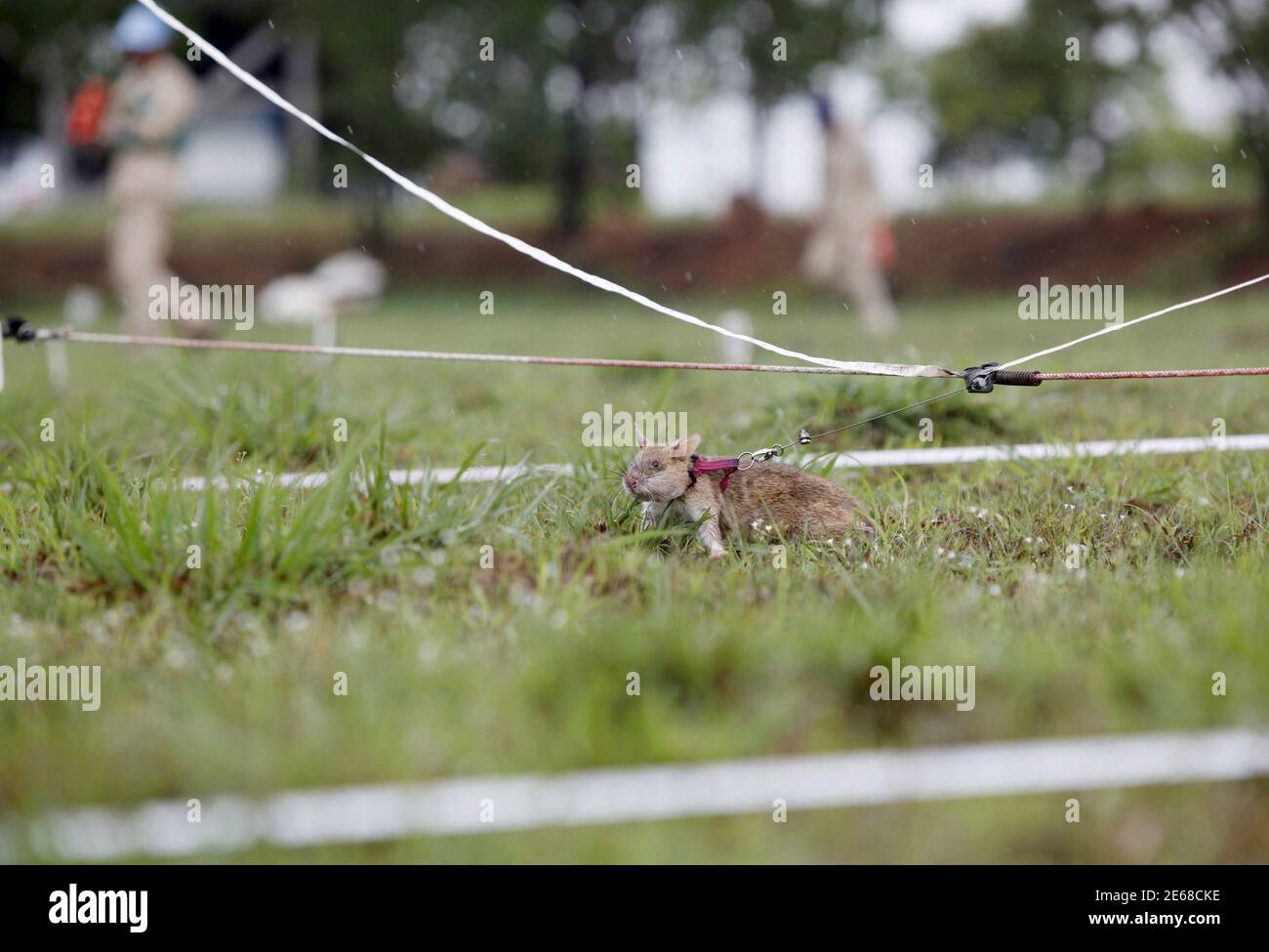 Detect mines hi-res stock photography and images - Alamy