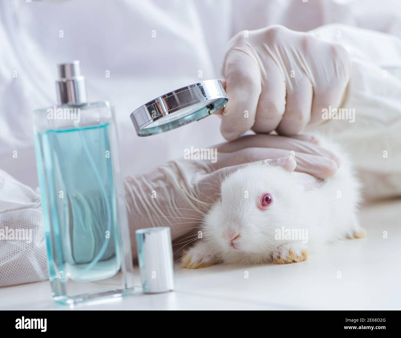 The white rabbit in scientific lab experiment Stock Photo - Alamy