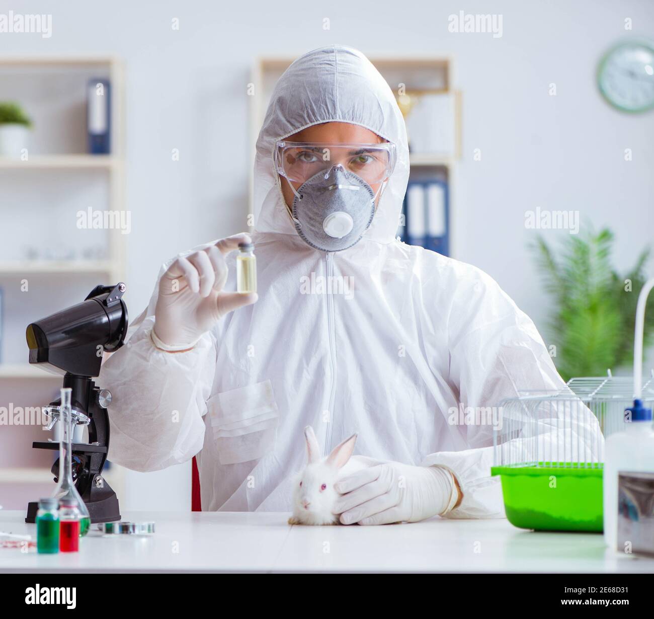 The scientist doing animal experiment in lab with rabbit Stock Photo ...