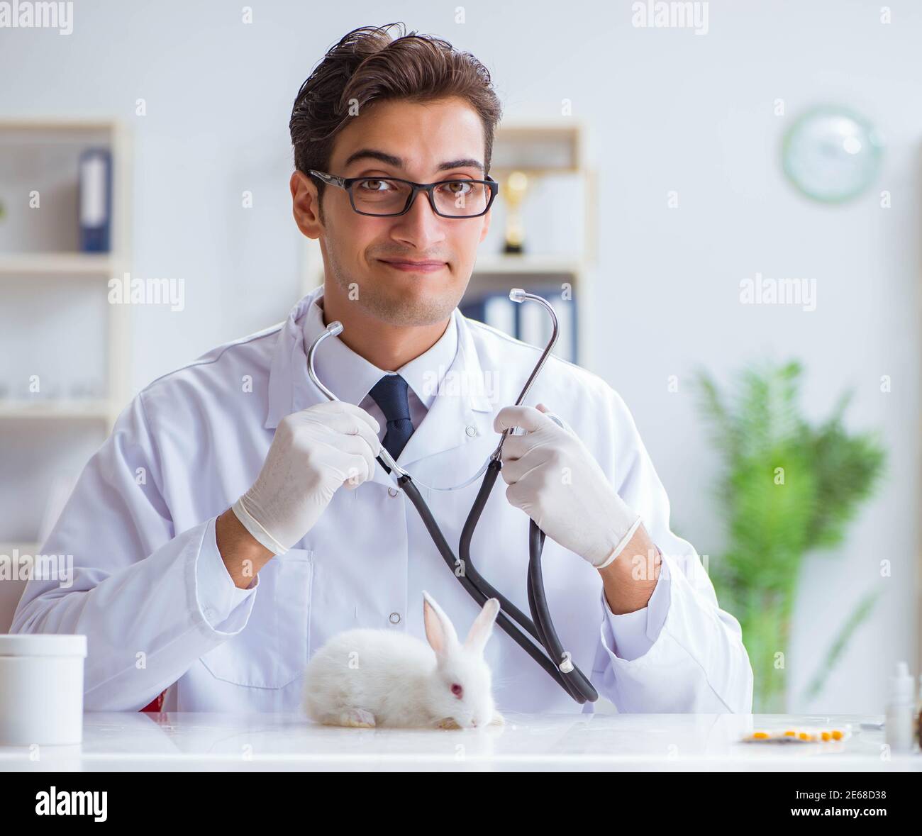 The vet doctor examining rabbit in pet hospital Stock Photo - Alamy