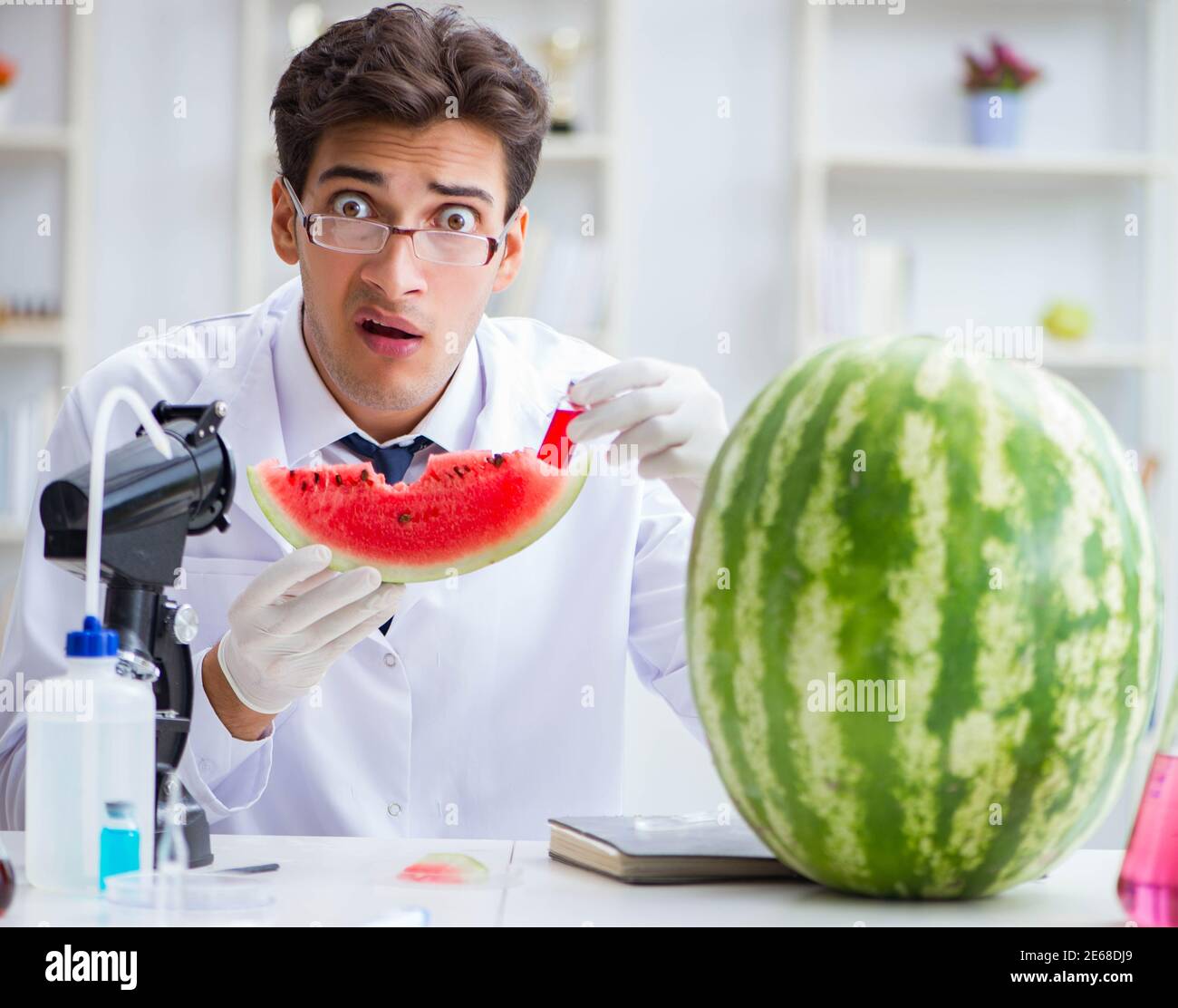 The scientist testing watermelon in lab Stock Photo - Alamy