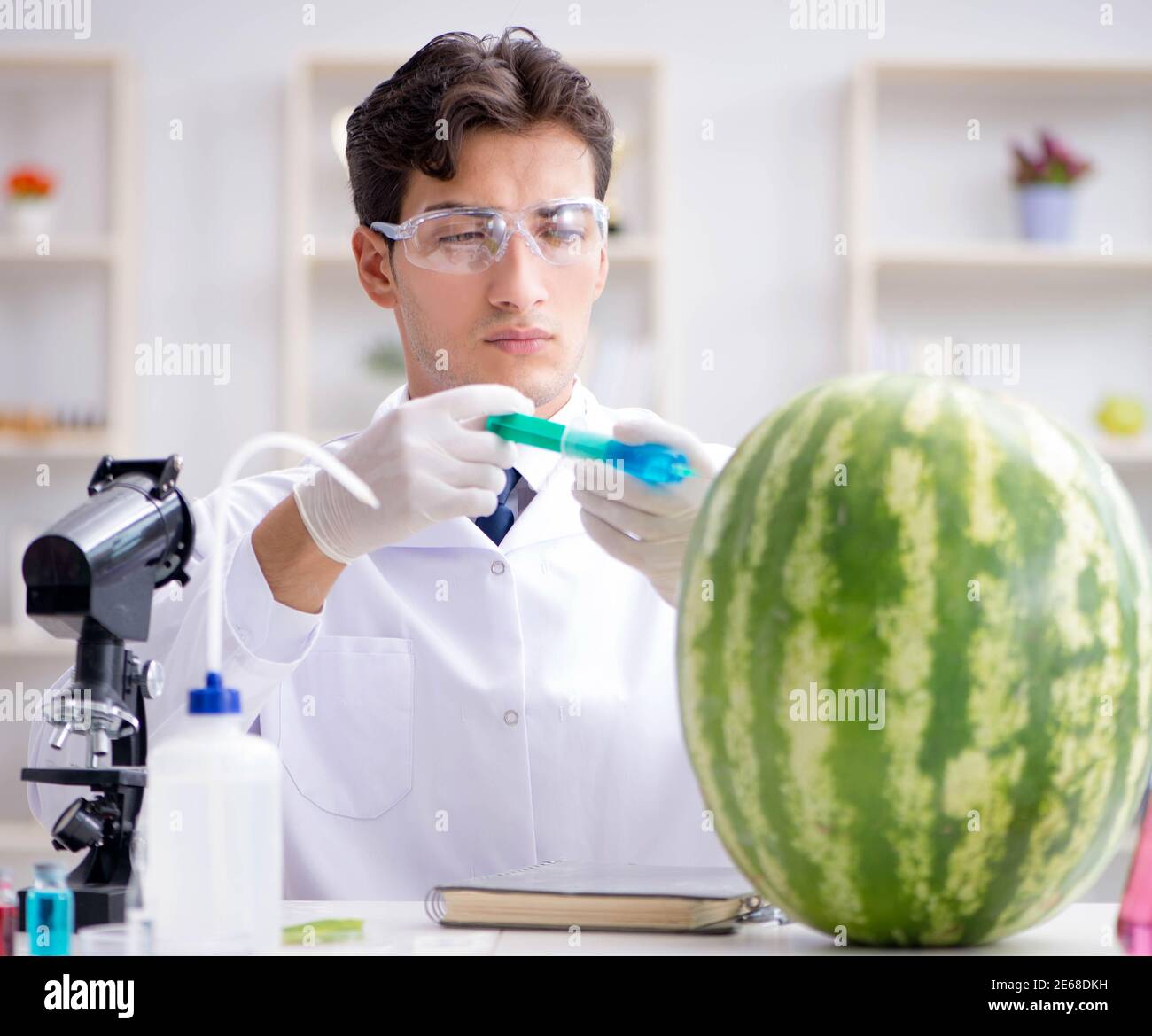 The scientist testing watermelon in lab Stock Photo - Alamy