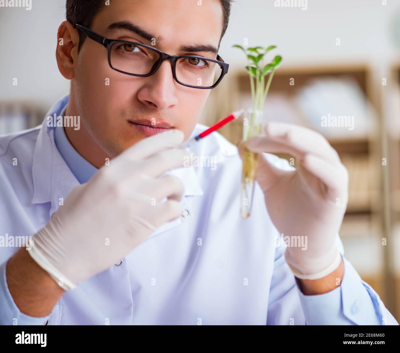 The biotechnology scientist working in the lab Stock Photo - Alamy