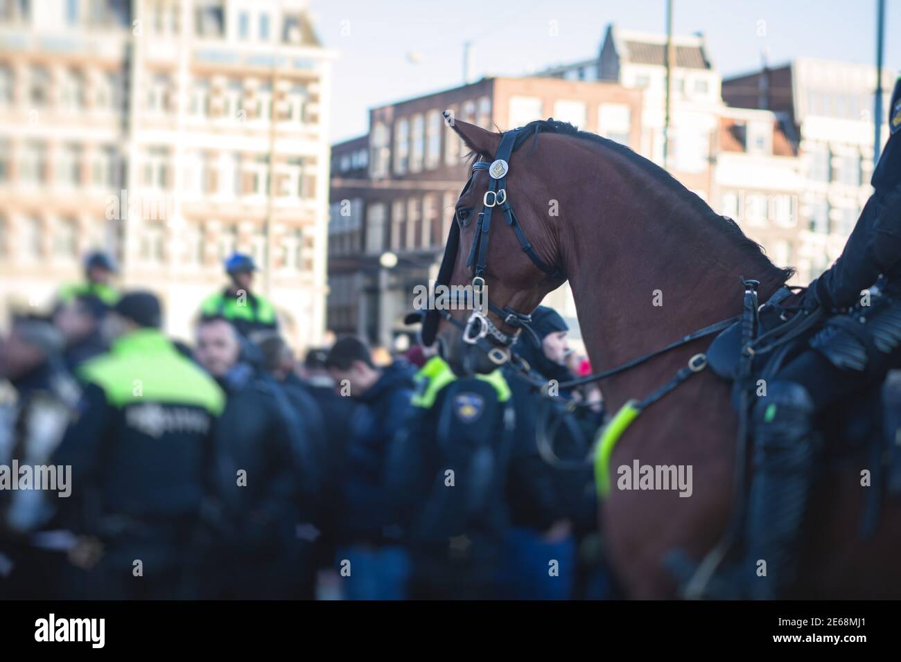 Dutch police squad formation and horseback riding mounted police back ...