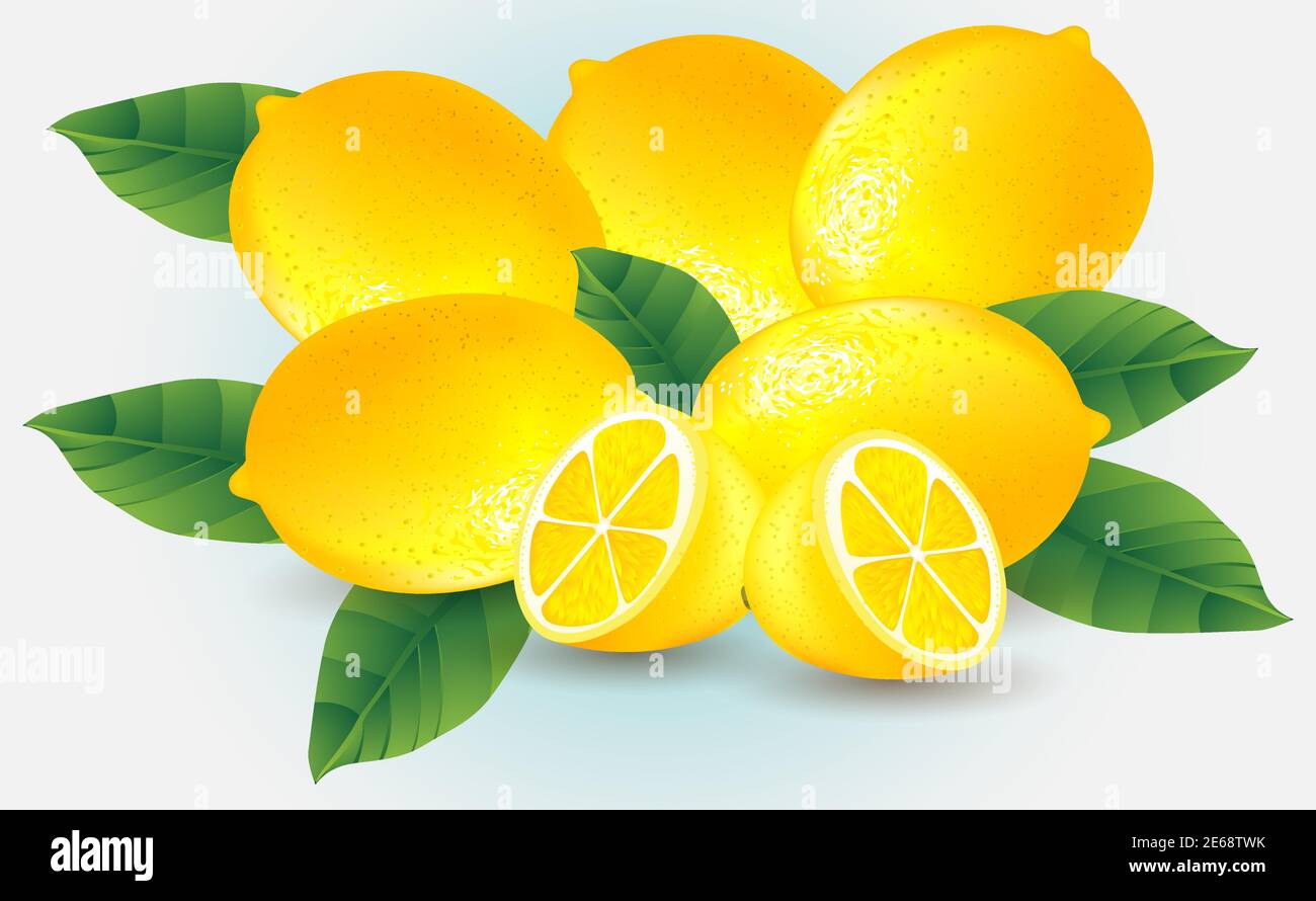 realistic lemon art vector 4d design Stock Vector Image & Art - Alamy
