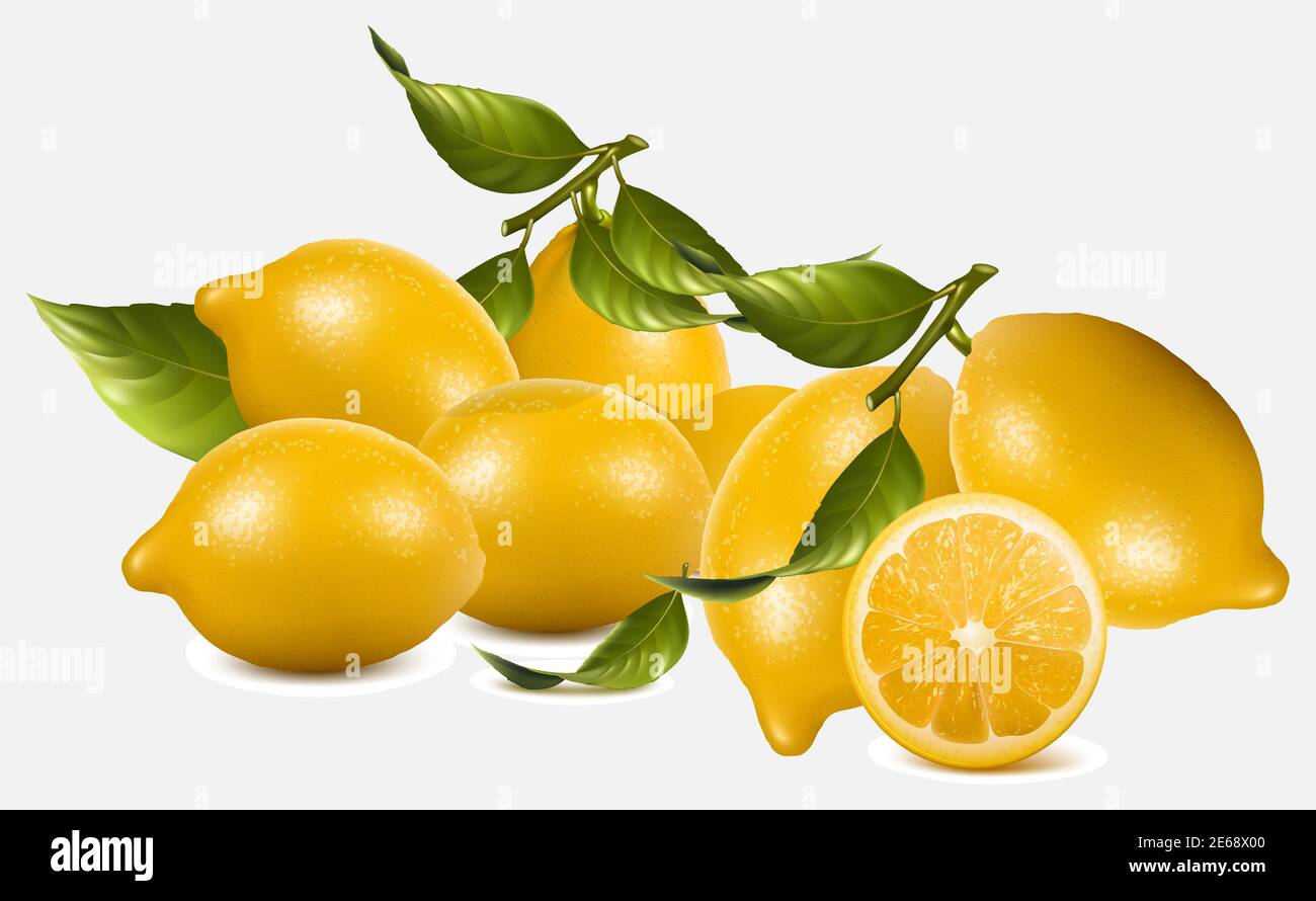 realistic lemon art vector 4d design Stock Vector Image & Art - Alamy