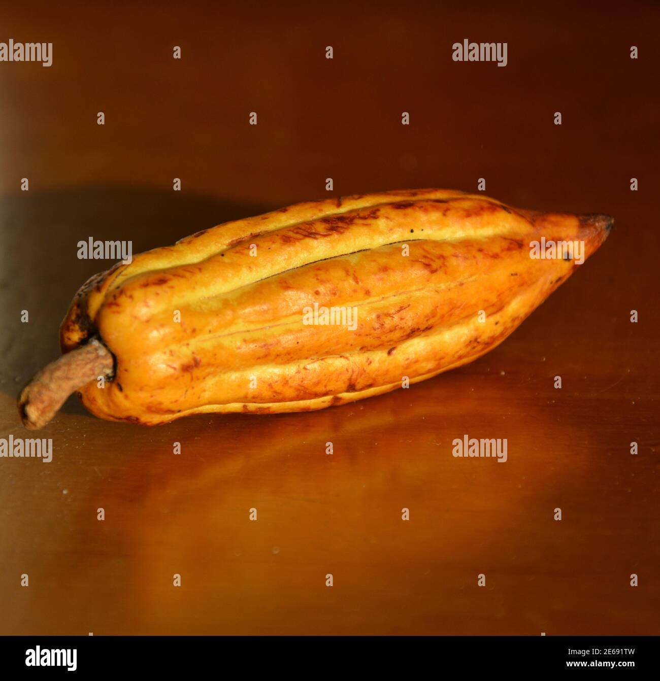 Brown cocoa pods hi-res stock photography and images - Alamy