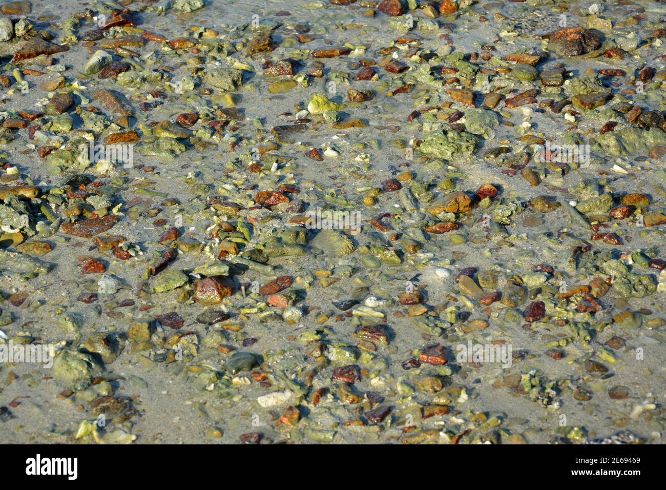 Colorful environment hi-res stock photography and images - Alamy