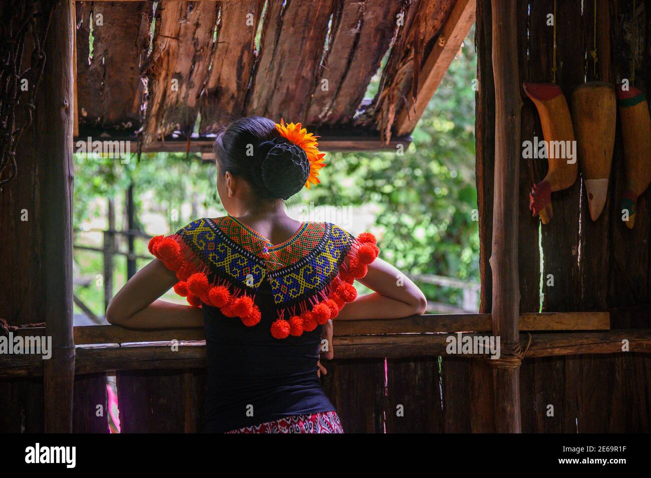 Iban woman in traditional costume in a traditional Iban house at the ...