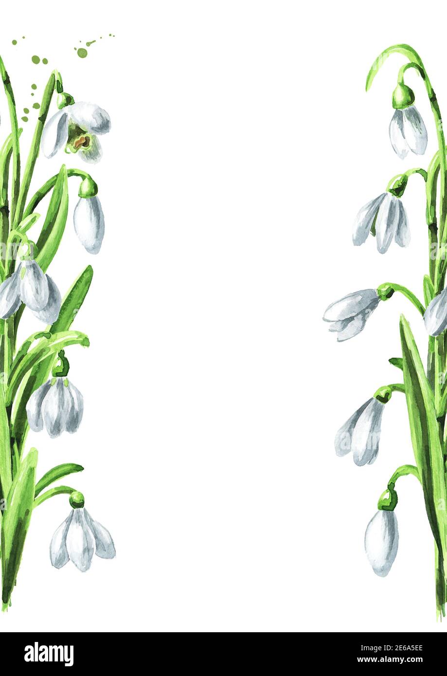 Border of first spring flowers snowdrops, Hand drawn watercolor ...