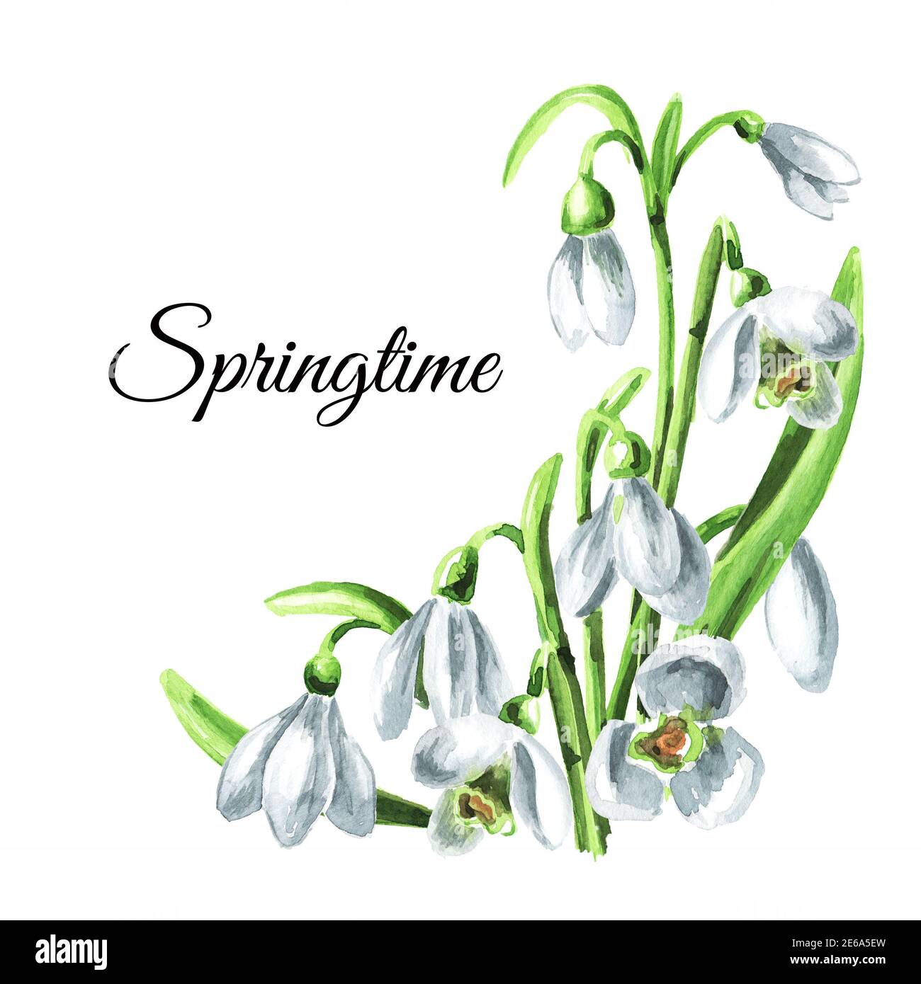 Wreath of first spring flowers snowdrops. Hand drawn watercolor ...