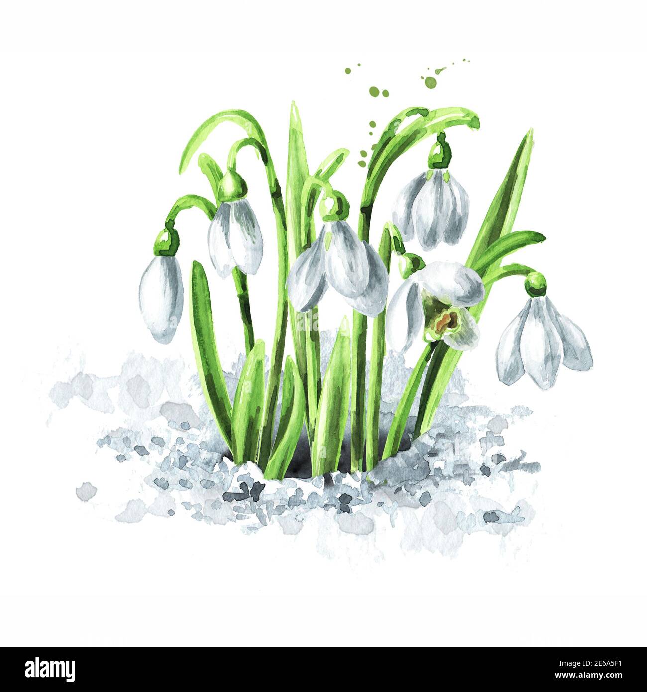 First snow winter on Cut Out Stock Images & Pictures - Alamy