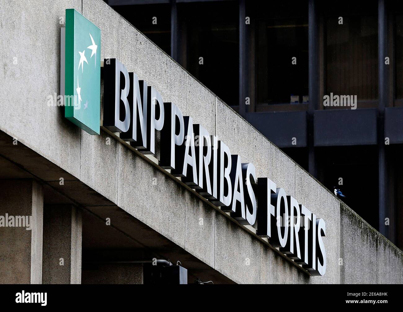 Fortis logo hi-res stock photography and images - Alamy