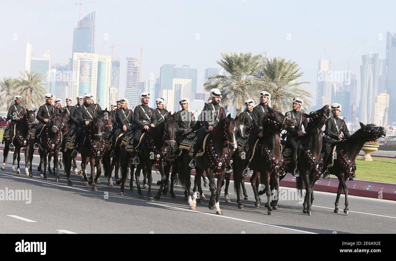 Qatar national animal hi-res stock photography and images - Alamy