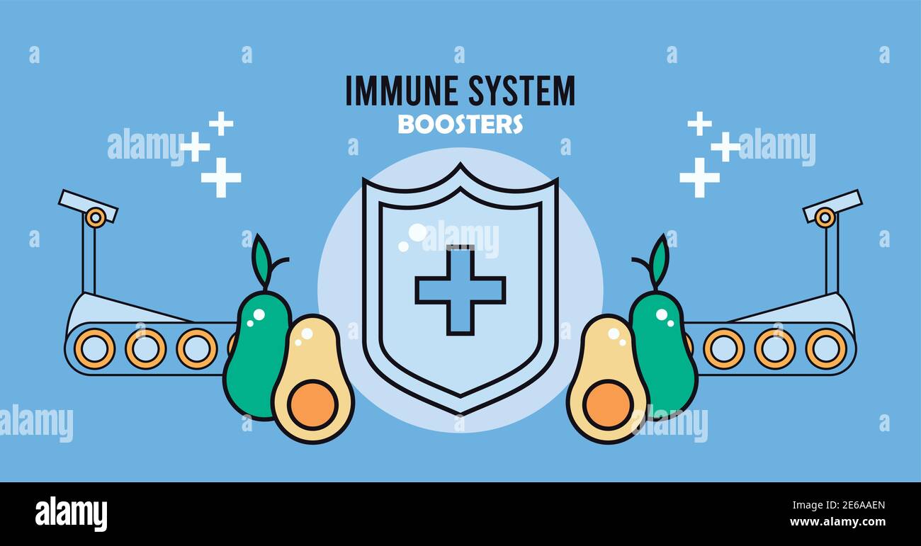 inmune system booster shield with vegetables vector illustration design ...