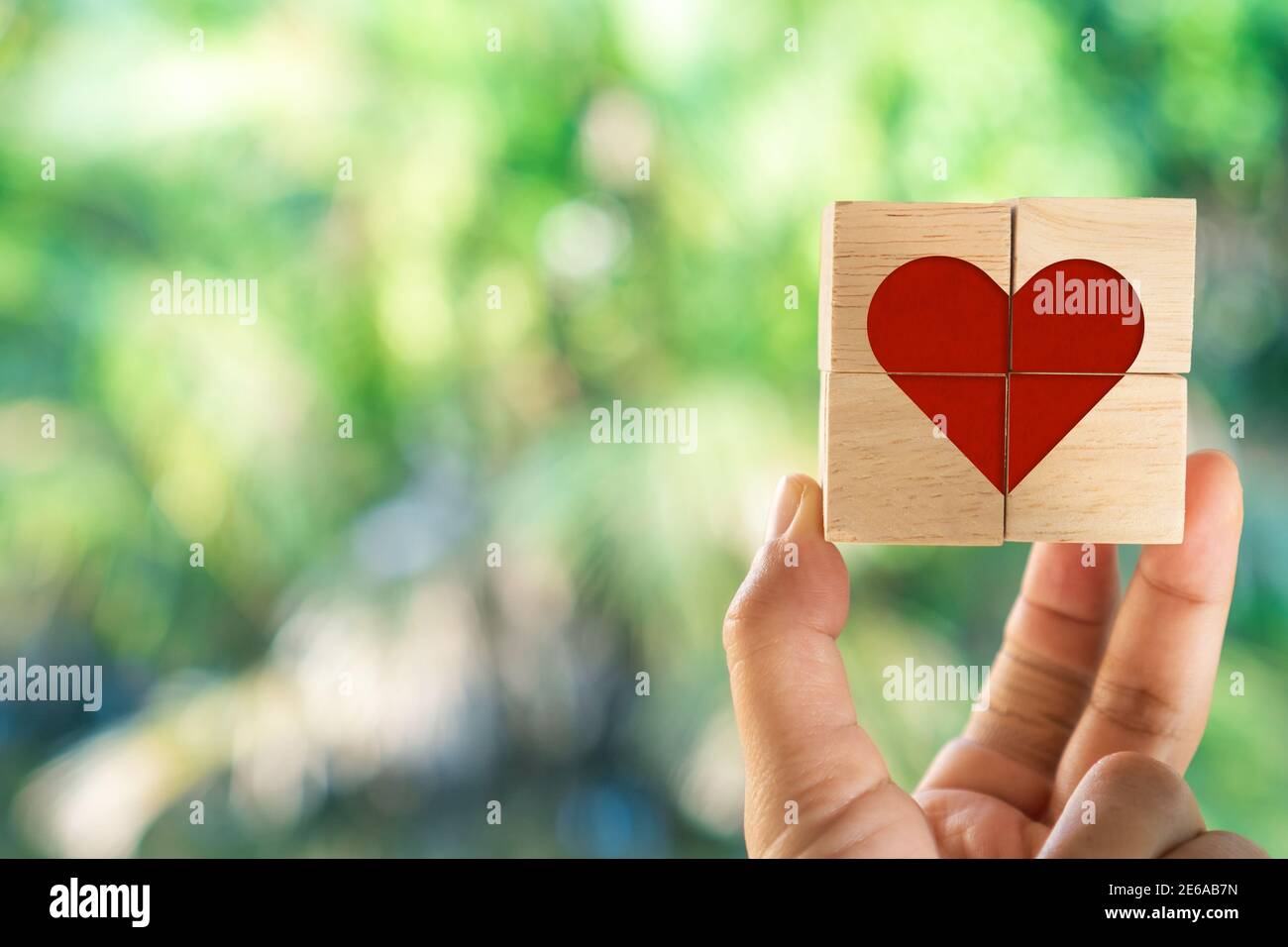 Hand hold wooden cube with heart sign icon on and copy space nature ...