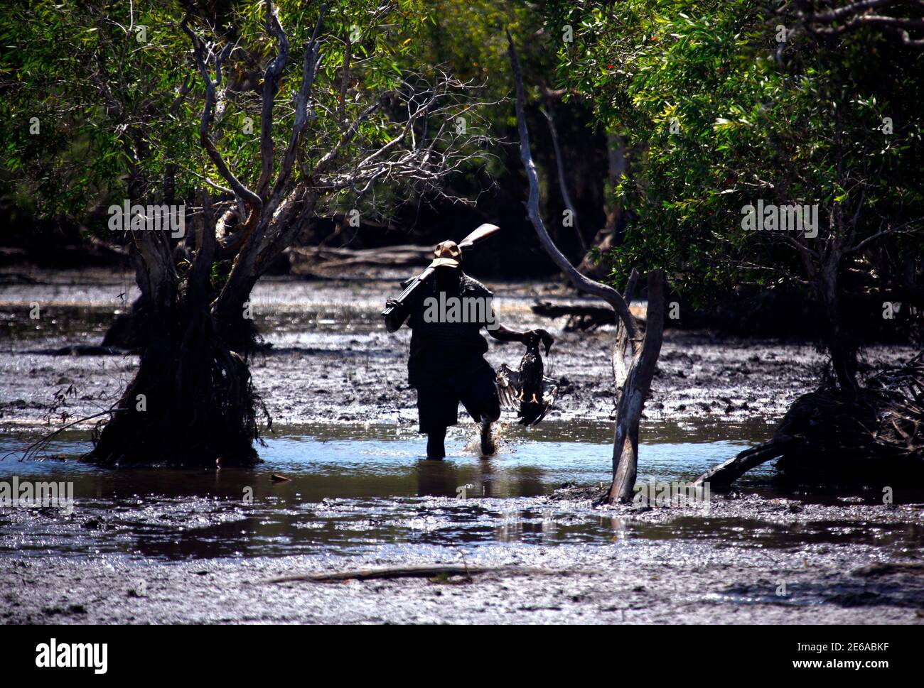 Goose in the station hi-res stock photography and images - Alamy