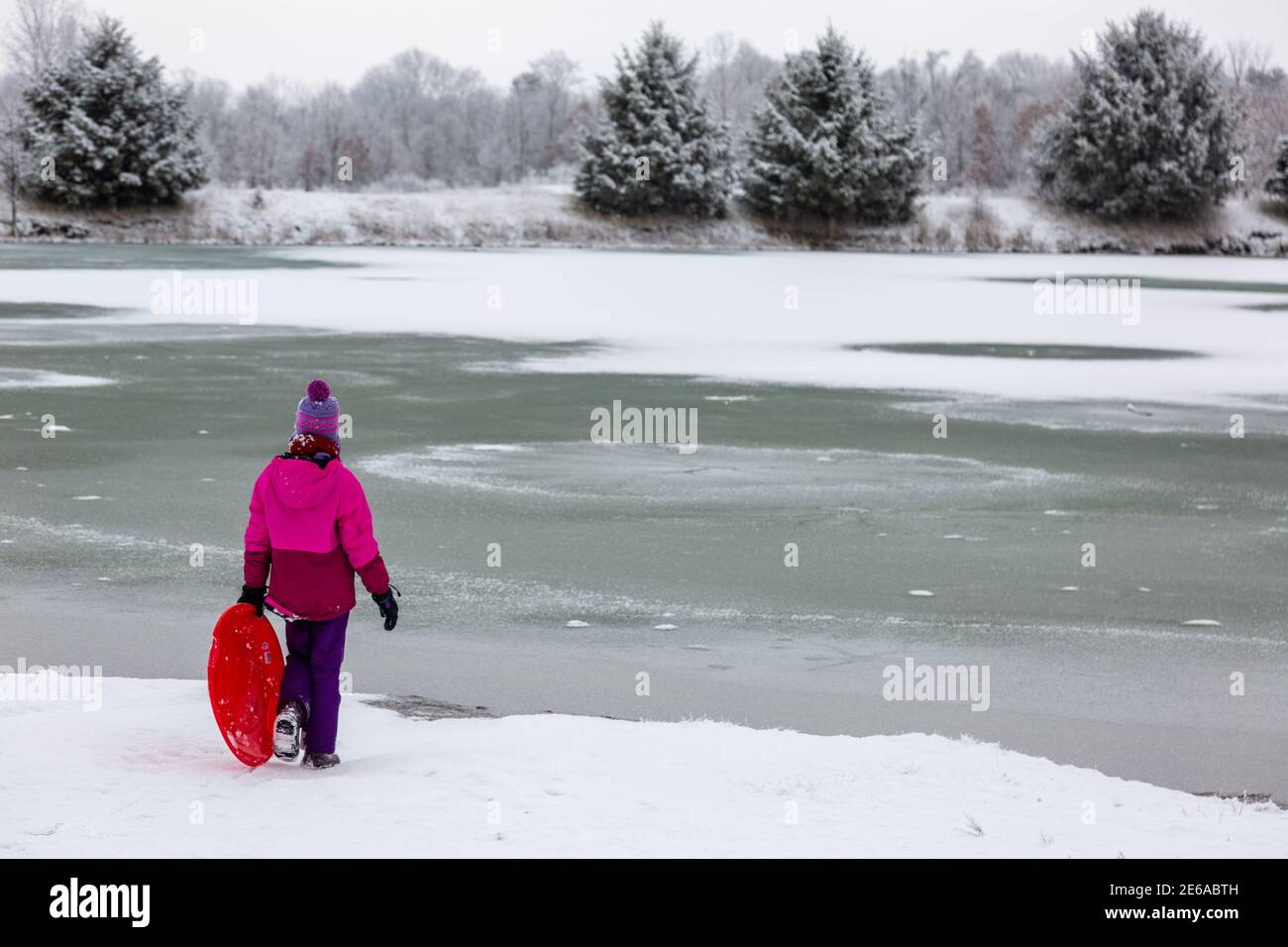 The colors of a young girl and her plastic sled stand in contrast to ...