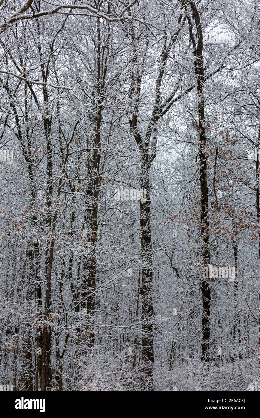 Spencerville hi-res stock photography and images - Alamy