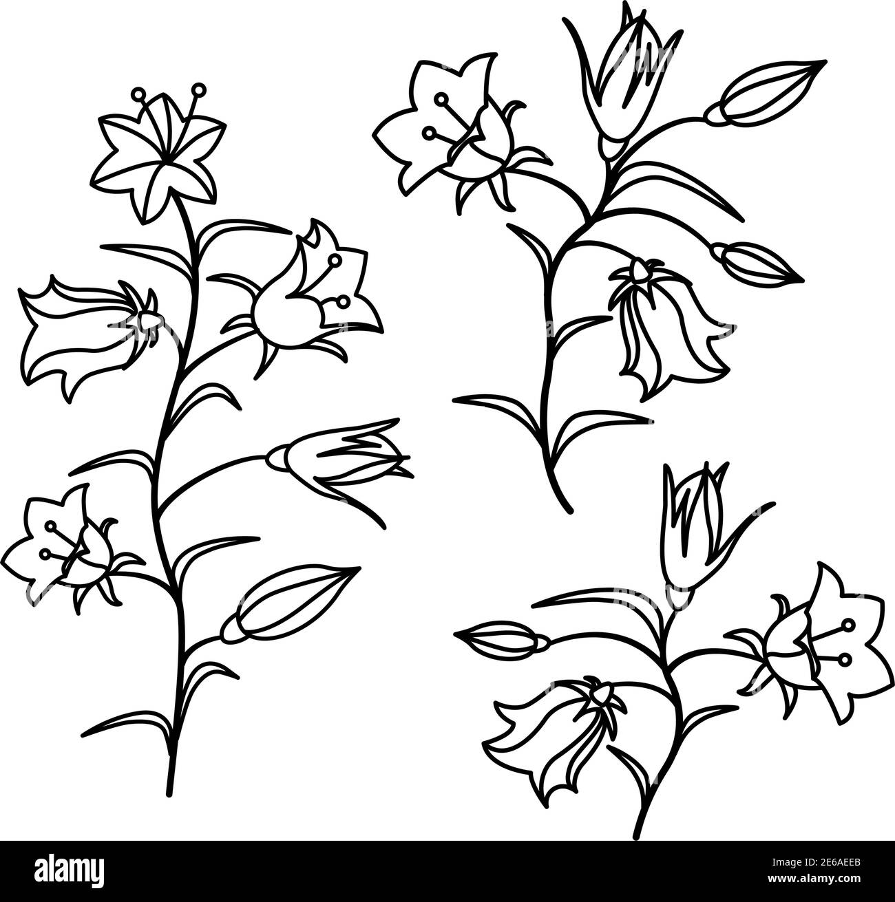 Bell like flowers Stock Vector Images - Alamy